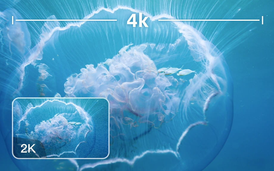 Wink App_Wink PC版官网_手机端桌面端视频剪辑神器